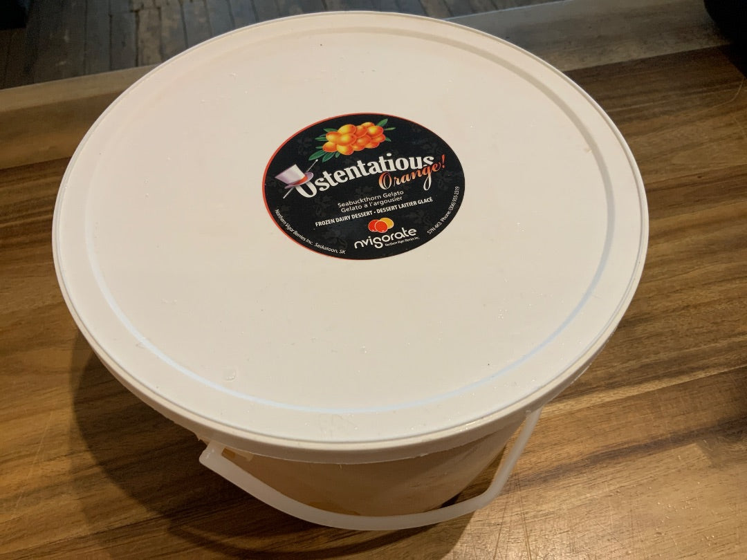 nvigorate - Ostentatious Orange Seabuckthorn Gelato - 4L Pail – The ...