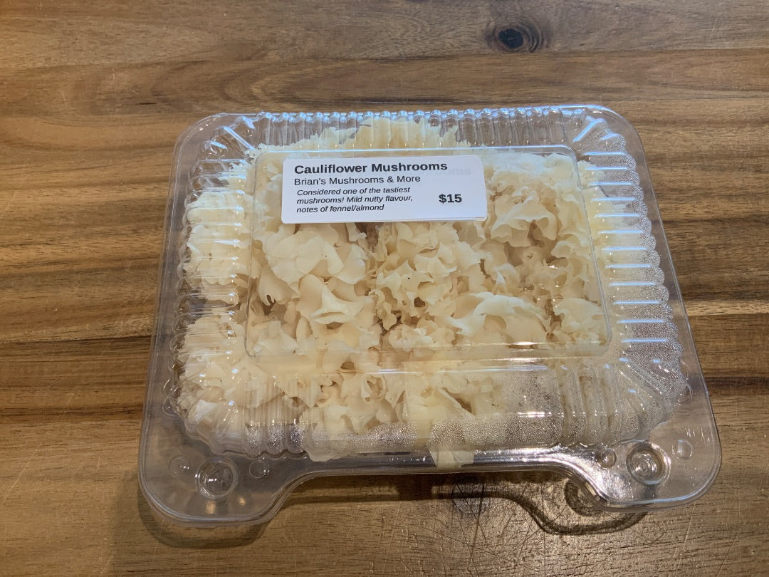 Brian's Mushrooms & More - Cauliflower Mushroom Clamshell – The Little ...